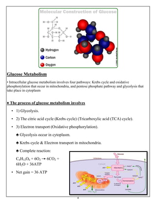Glucose Metabolism and Diabetes | PDF