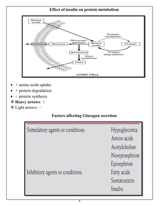 The Endocrine Pancreas | PDF