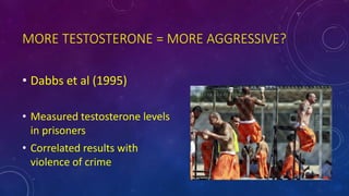 Hormonal Explanation of Aggression | PPTX