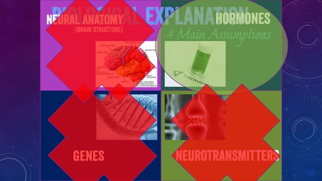 Hormonal Explanation of Aggression | PPTX