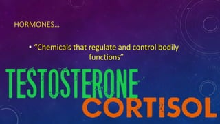 Hormonal Explanation of Aggression | PPTX