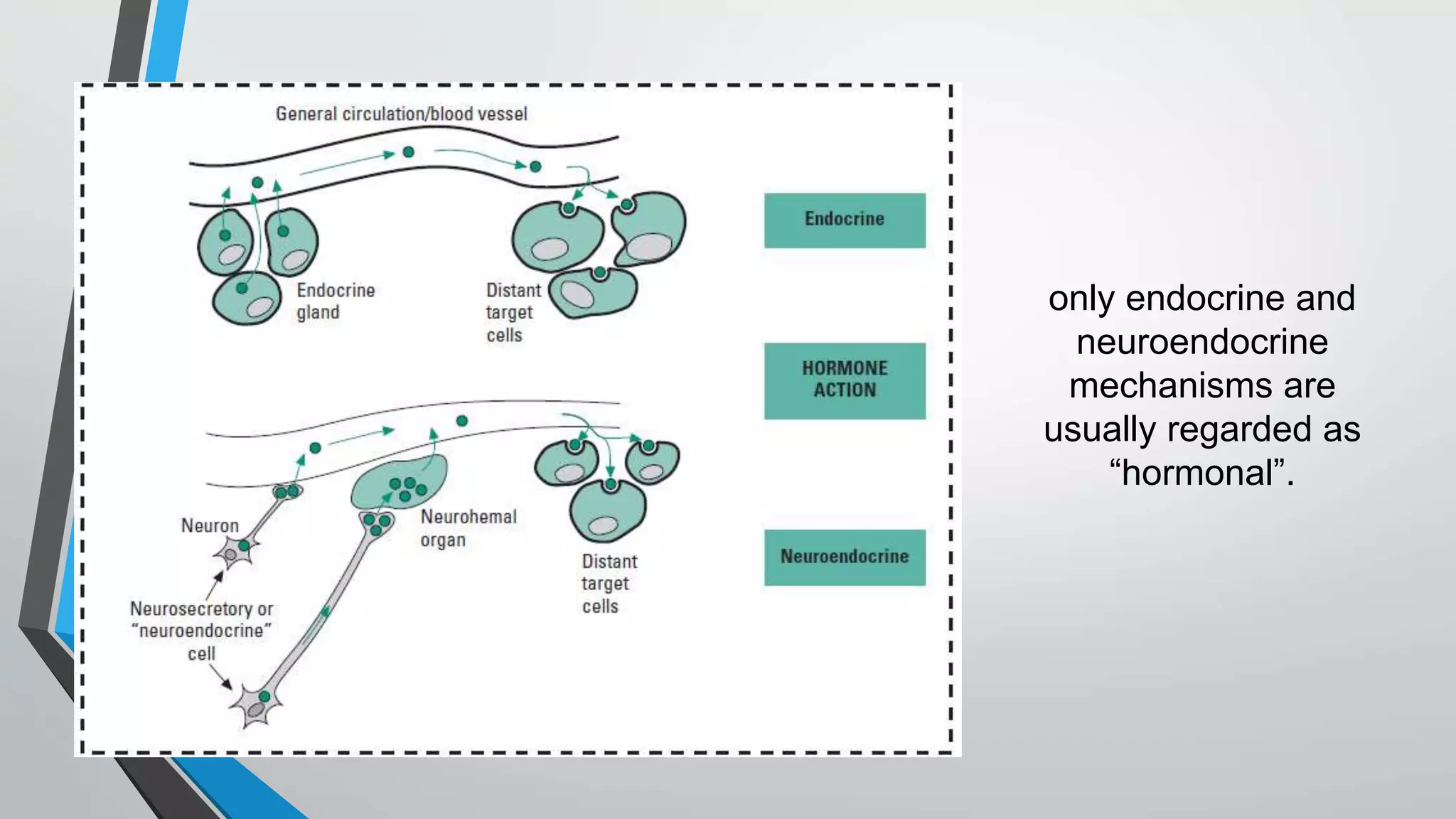 Hormones and chemical | PPT