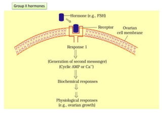 HORMONES AND CLASSIFICATION WITH THEIR FUNCTIONS | PPTX