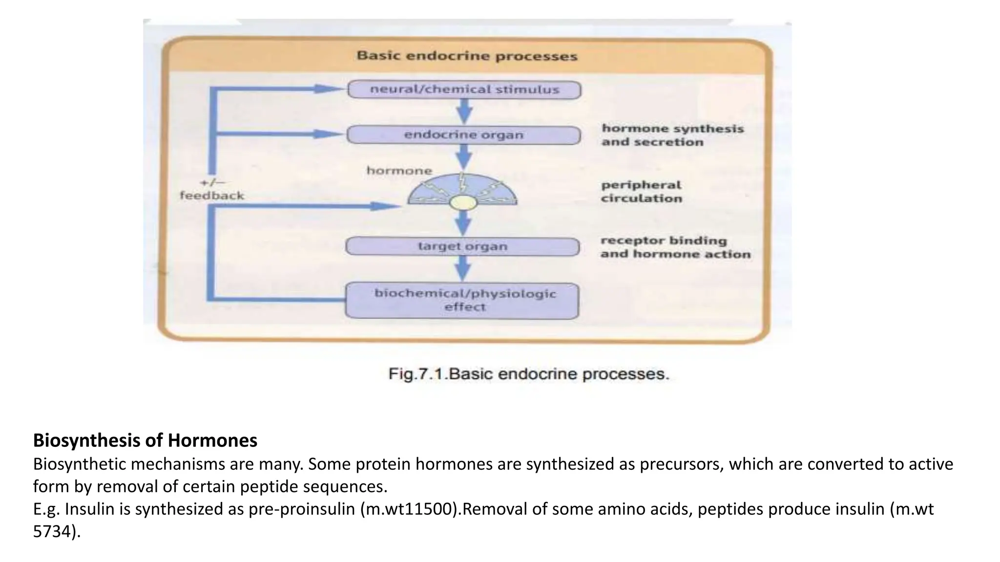 Hormones and related diseases.......pptx