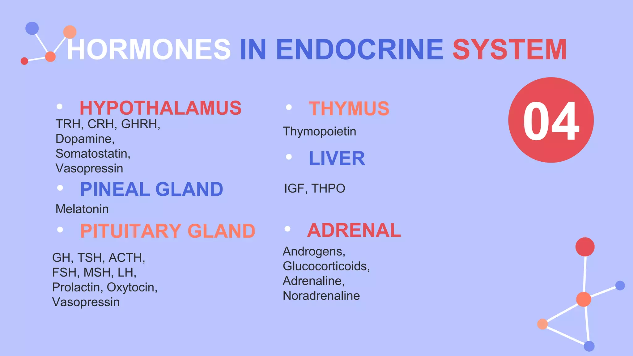 Hormones and the Endocrine System.pptx