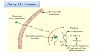Hormones and their classifications .pdf