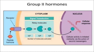 Hormones and their classifications .pdf
