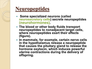 Hormones and their feedback system | PPTX
