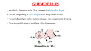 PLANT HORMONES | PPTX
