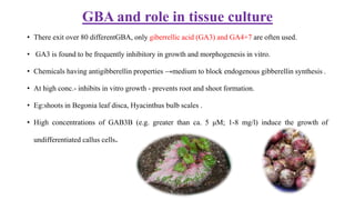 PLANT HORMONES | PPTX
