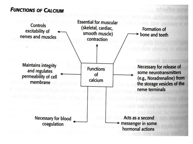 HORMONES CALCIUM BALANCE department of pharmacology | PPT