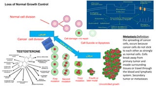 Hormones & Cancer f.pptx