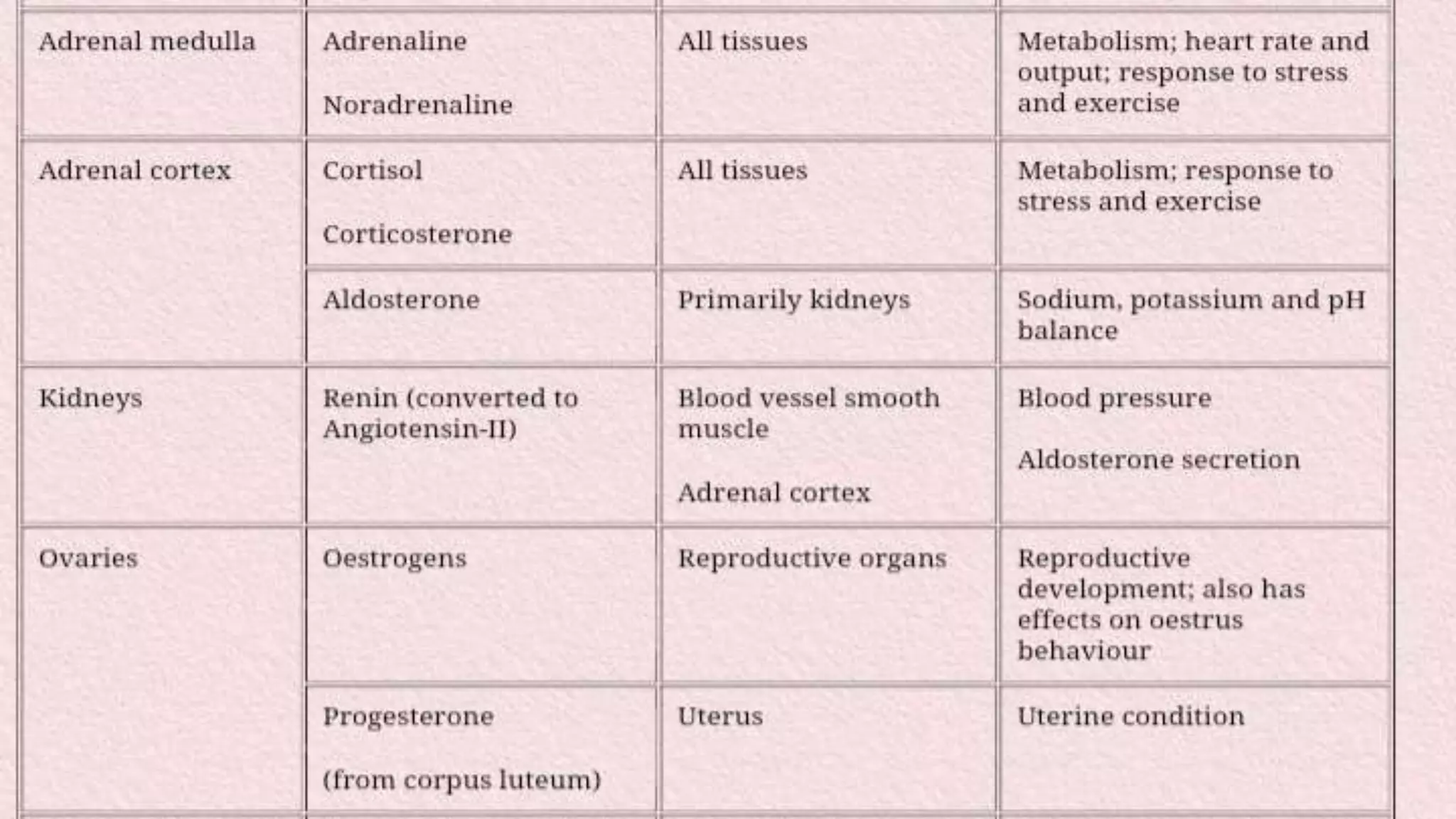 Hormones, classification and target organs.pptx