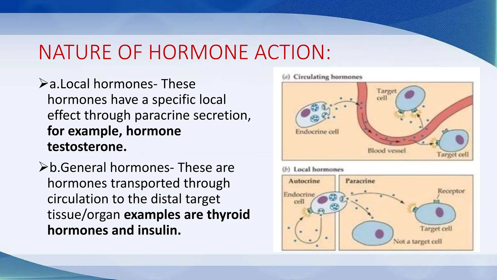HORMONES CLASSIFICATION AND MECHANISM OF ACTION | PPTX