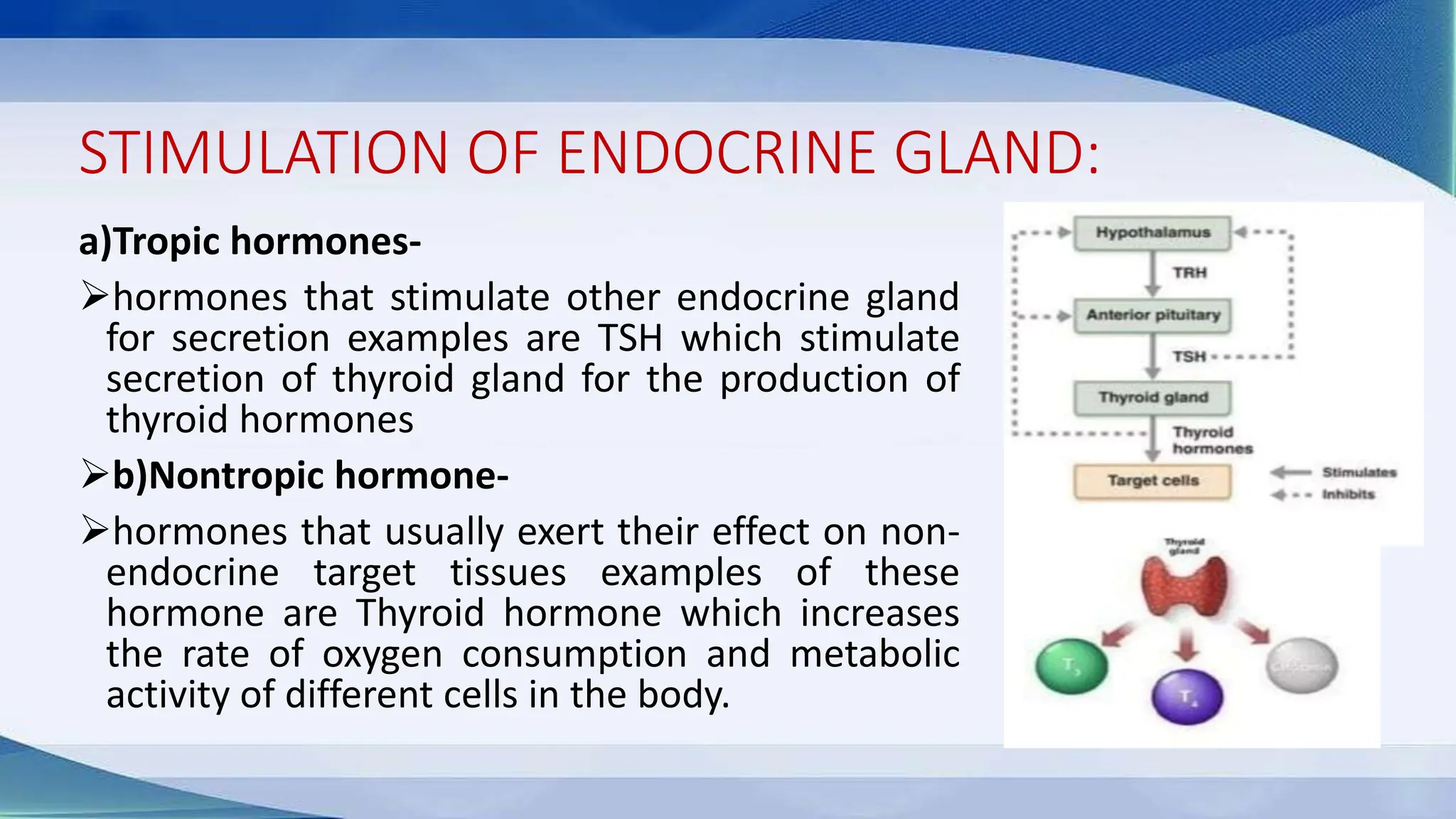 HORMONES CLASSIFICATION AND MECHANISM OF ACTION | PPTX