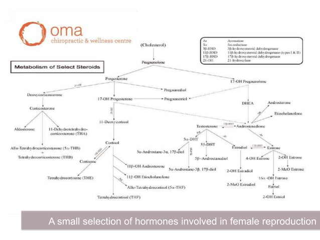 Hormone Harmony: Bringing Balance to Women's Hormones | PPTX