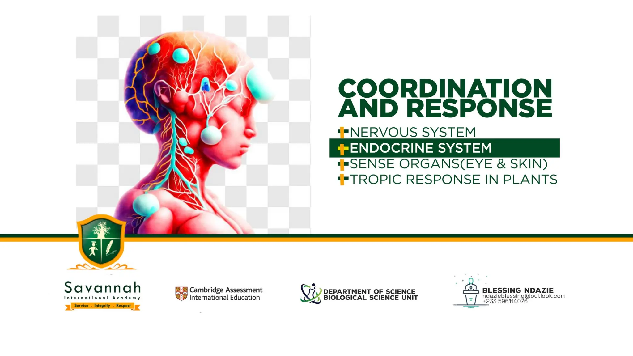 Hormones and the Endocrine System | IGCSE Biology | PDF