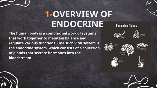 HORMONES & EXERCISE endocrine system.pptx