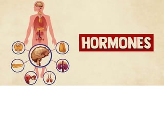 Hormones: The Chemical Messengers | PPT