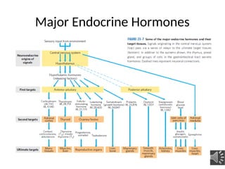 Hormones ,it's types and how they workqpptx | PPTX