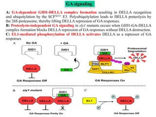 Hormone signaling | PPT
