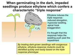 Hormone signaling | PPT