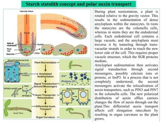 Hormone signaling | PPT