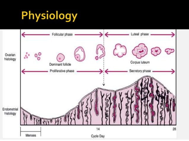 hormones in gynae.ppt