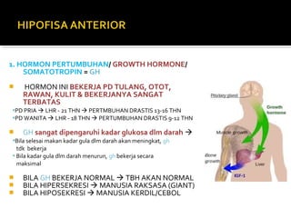 Hormone's lecture | PPT
