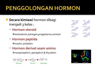 Hormone's lecture | PPT