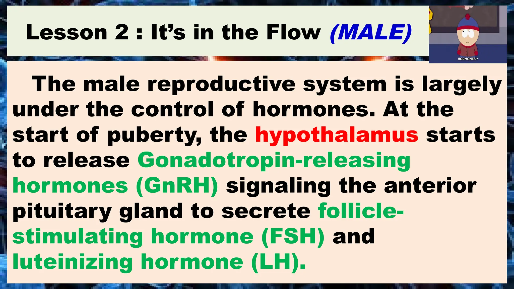 hormones male and female reproductive System | PPTX