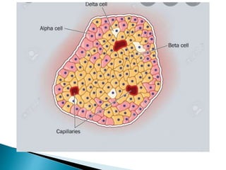 Hormones of pancreas,gonads,pineal,thymus gland & other endocrine cells ...