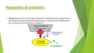 Hormones of pituitary gland | PPTX