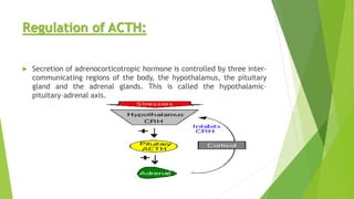 Hormones of pituitary gland | PPTX