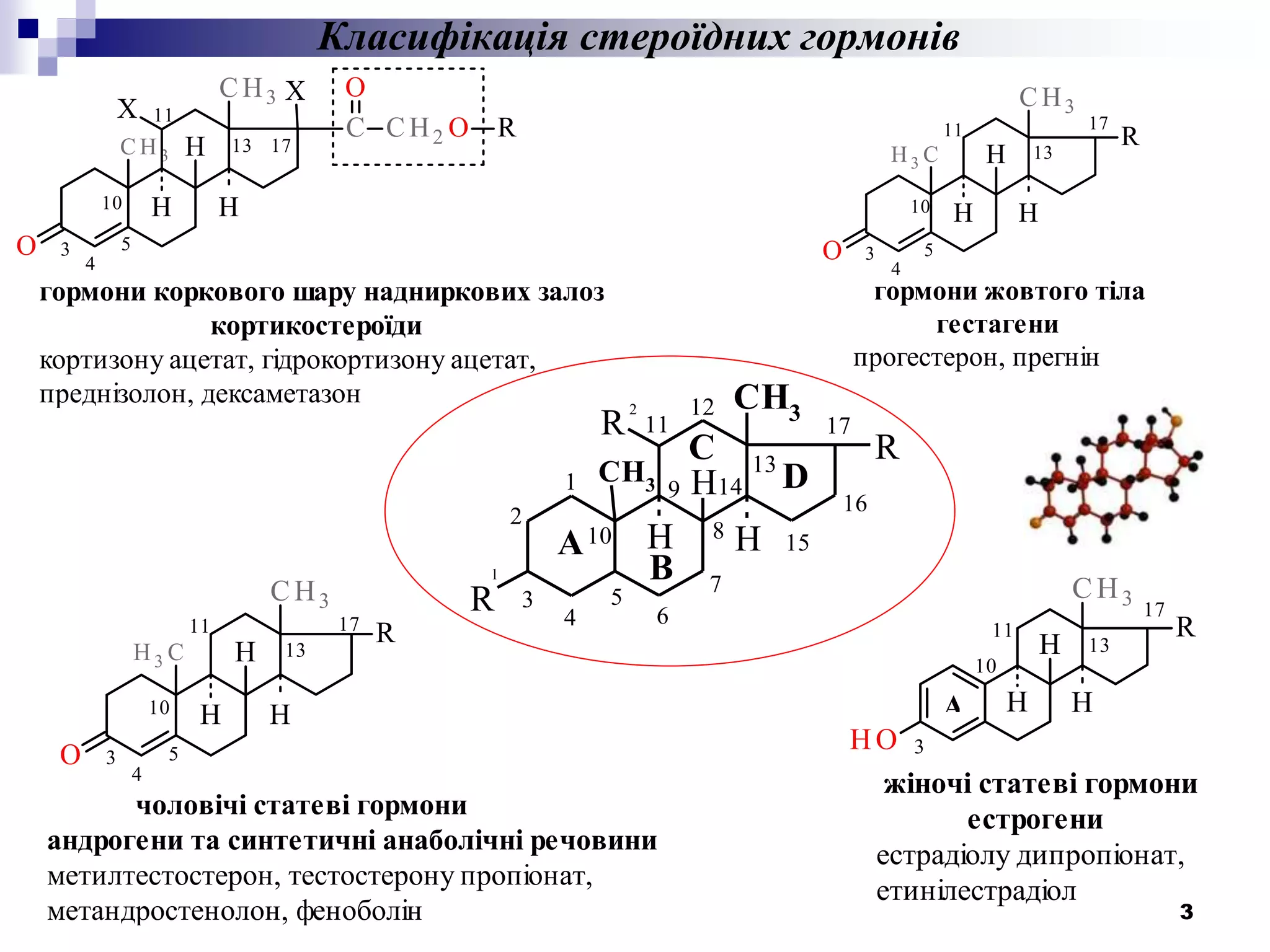 Hormones of the cortical layer of the adrenal glands (hydrocortisone ...