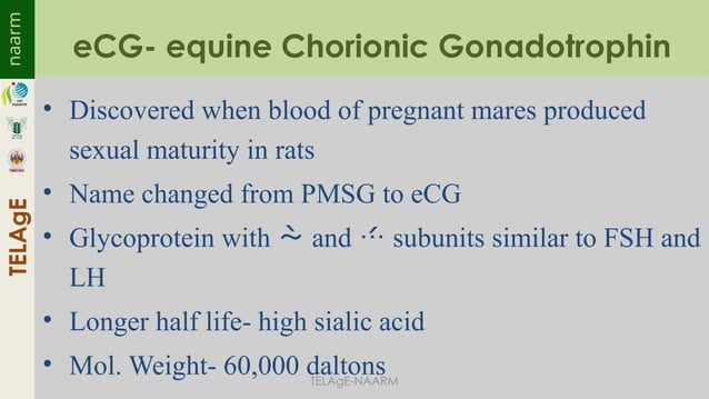 Hormones in cattle cattle hormones PPT.pptx