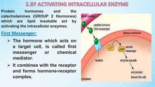 hormones ppt 2.pdf