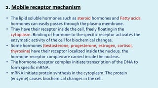Hormones | PPT