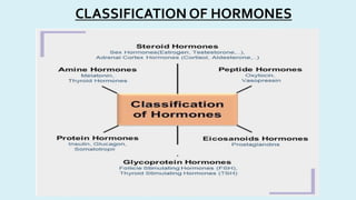 Hormones | PPT