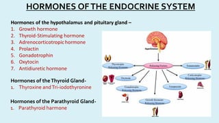 Hormones | PPT