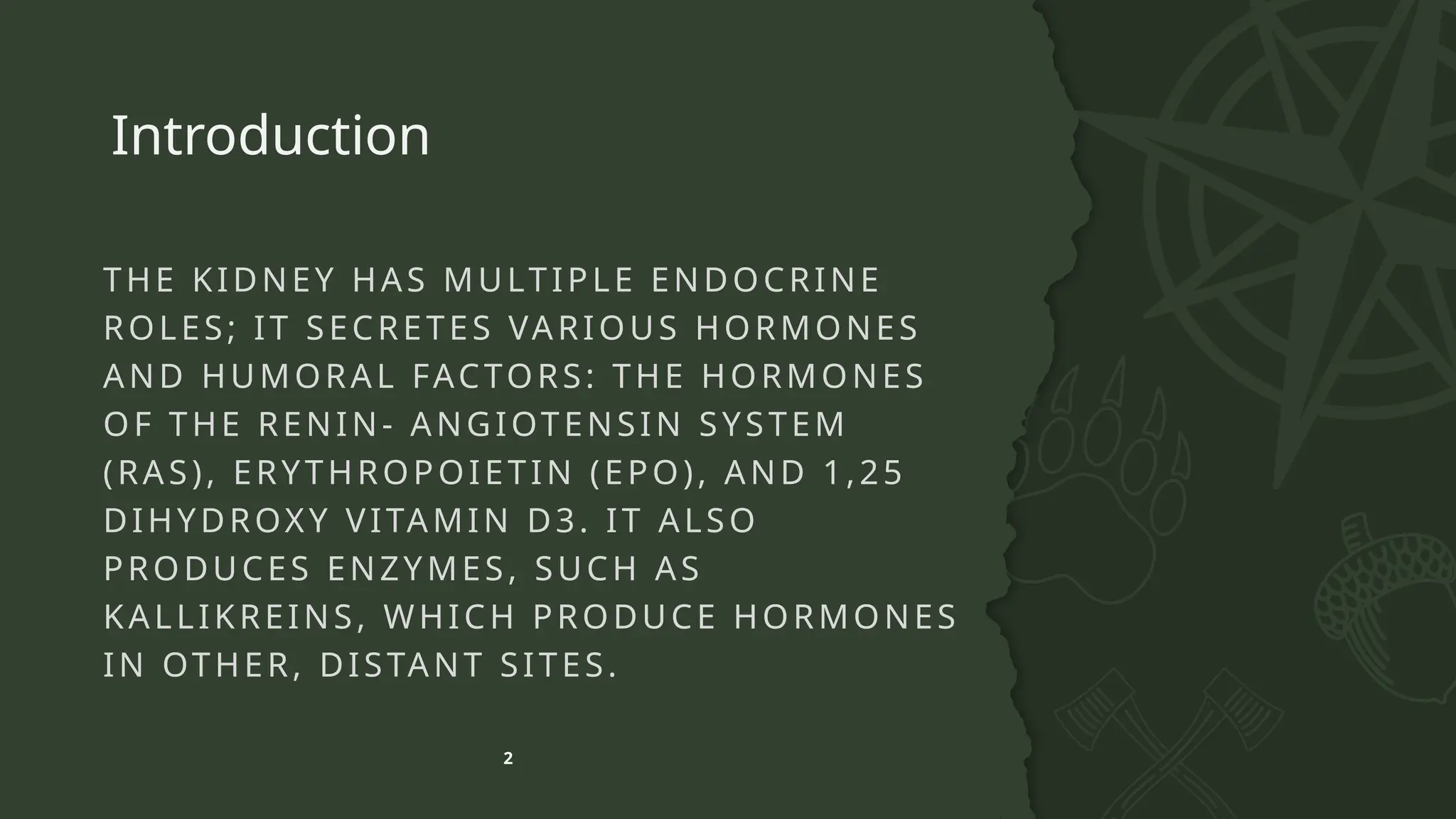 hormones produced by kidney .pptx