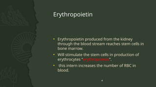 hormones produced by kidney .pptx