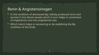 hormones produced by kidney .pptx