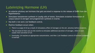 Hormones and Puberty pdf_Emoss | PPTX