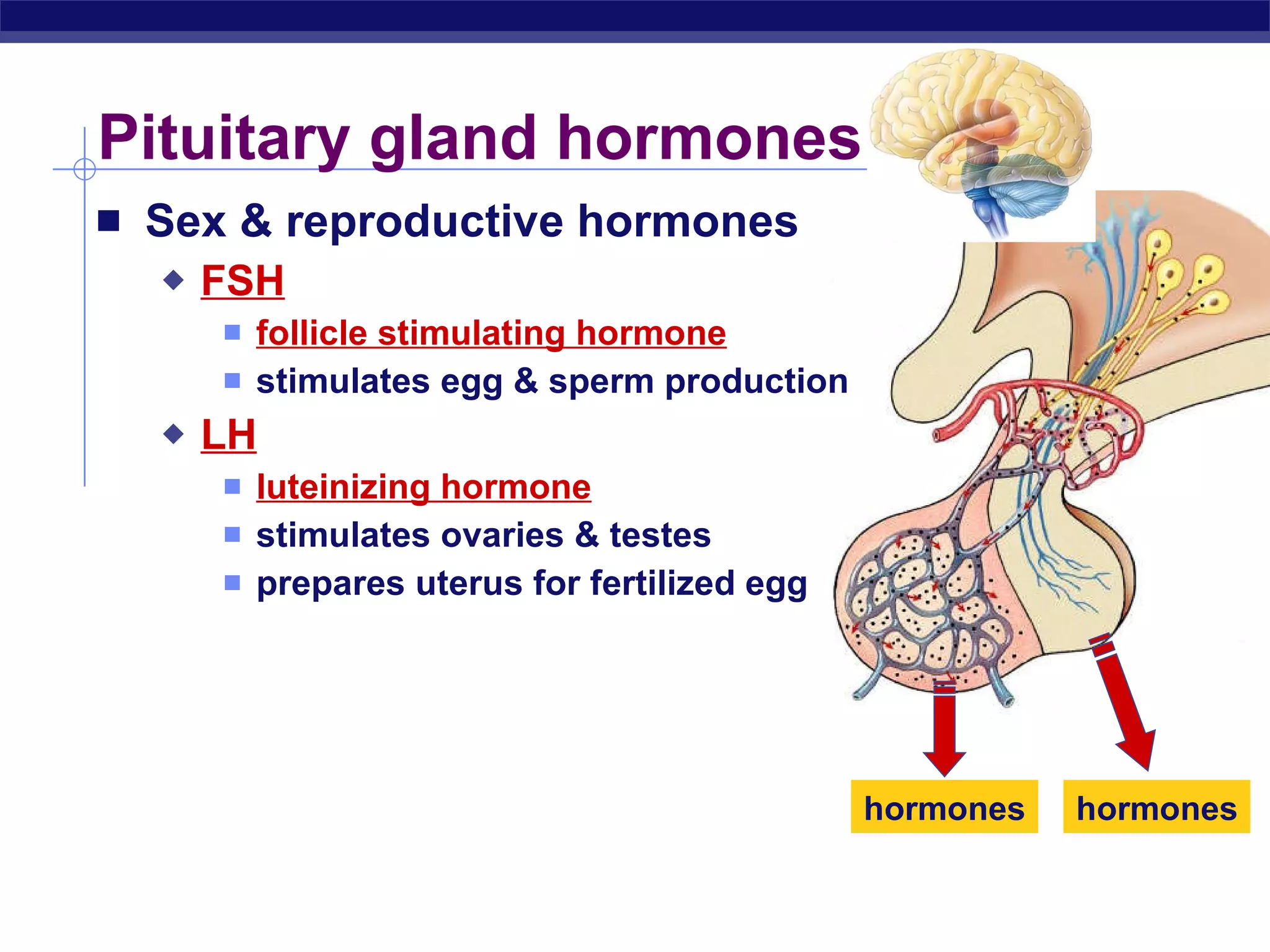 Hormones & Reproduction | PPT