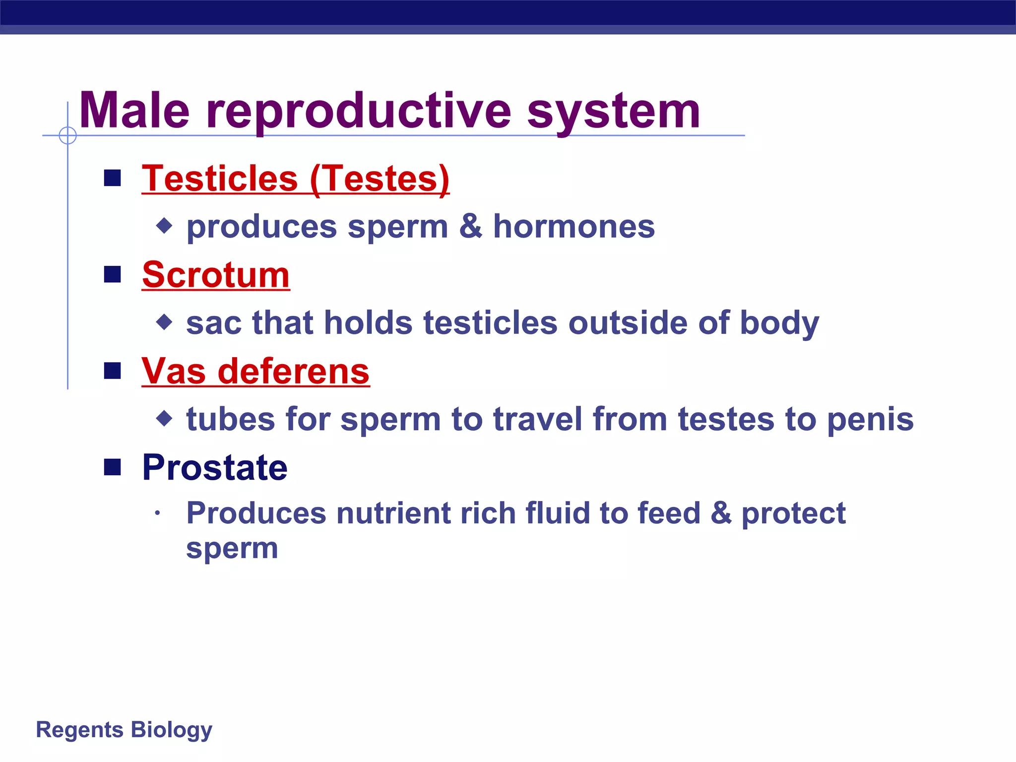 Hormones & Reproduction | PPT