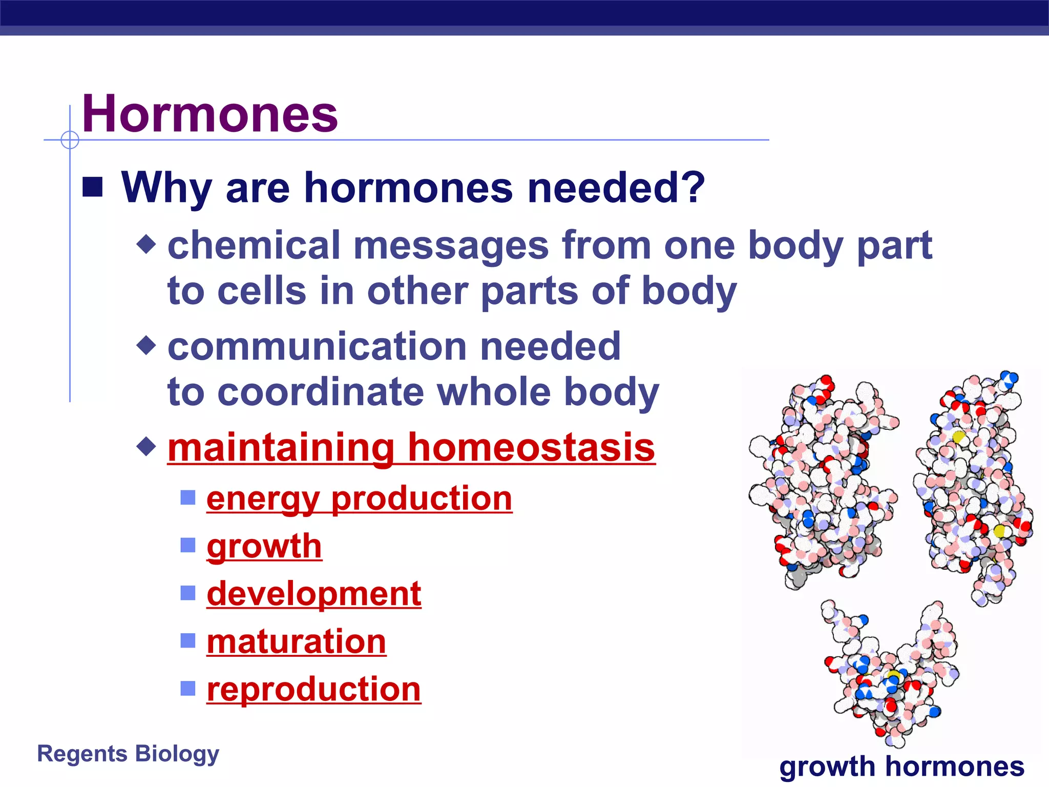 Hormones & Reproduction | PPT