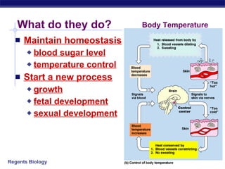 Hormones & Reproduction | PPT