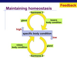 Hormones & Reproduction | PPT