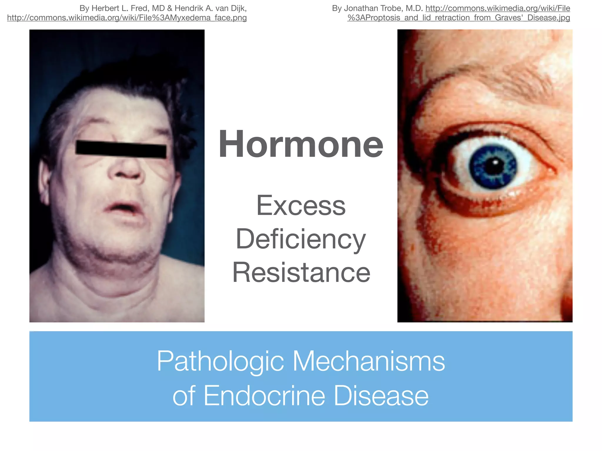 Principles of Hormone Testing | PDF